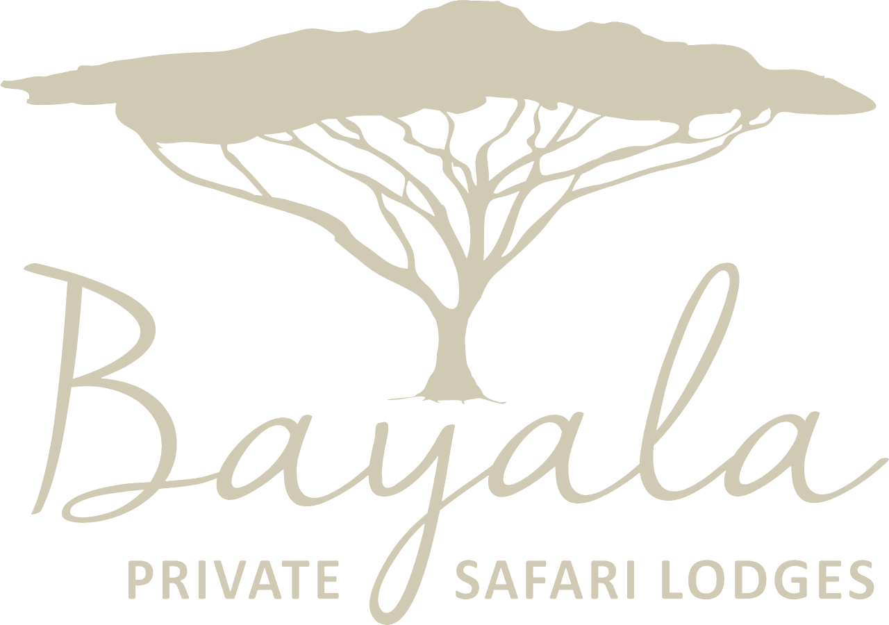 A Memorable Day at Bayala - Bayala Game Lodge